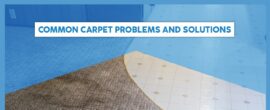Common Carpet Problems and Solutions | 50Floor