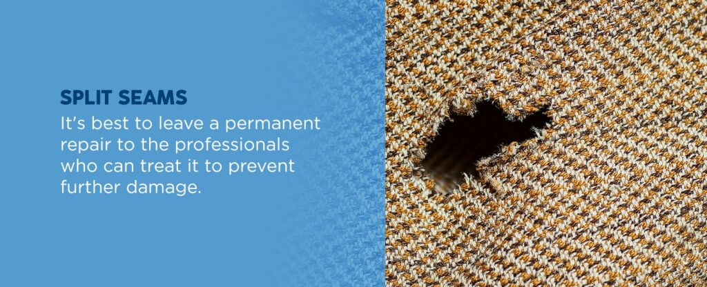 Common Carpet Problems and Solutions | 50Floor