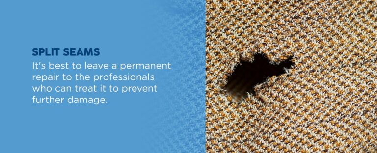 Common Carpet Problems and Solutions | 50Floor