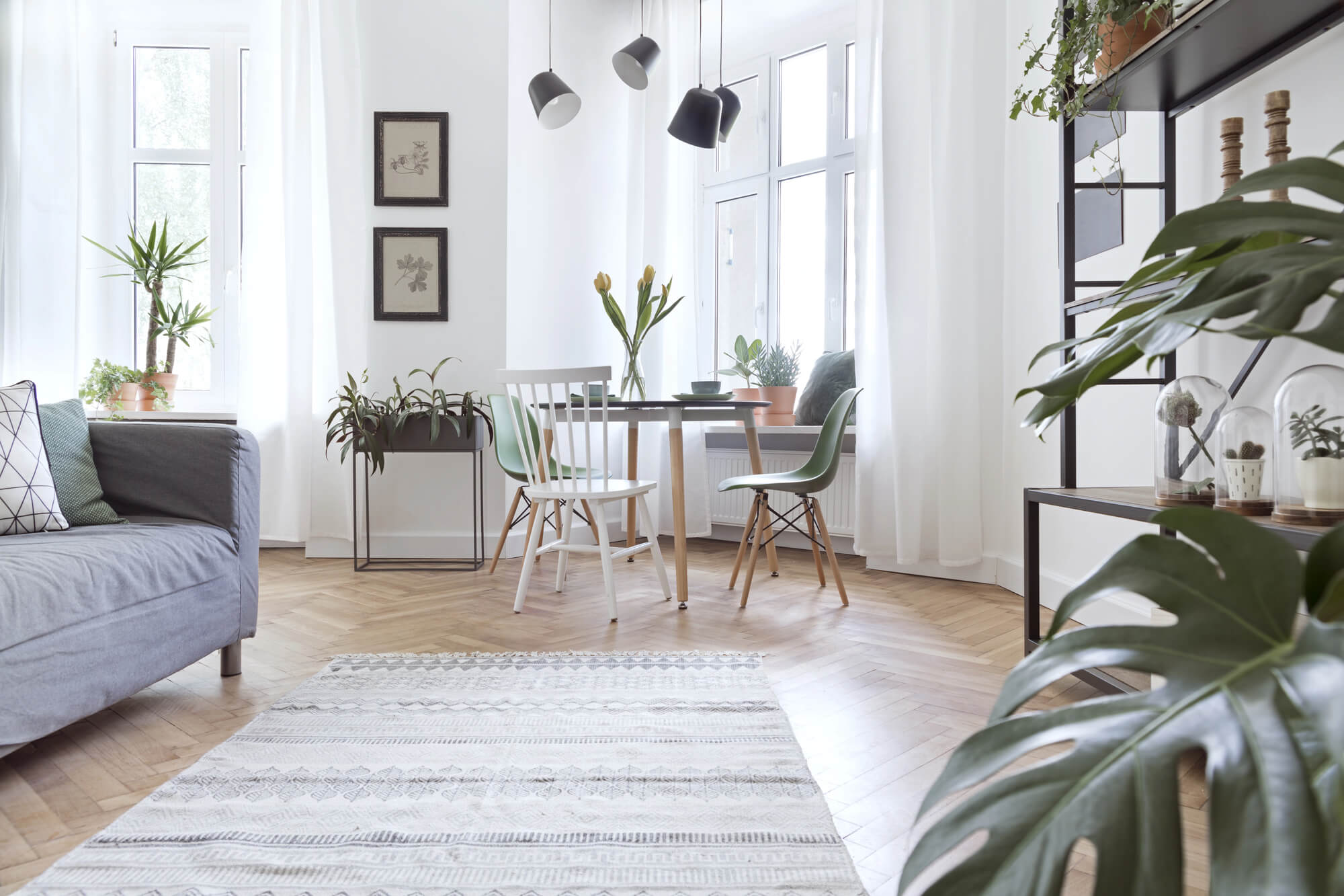 Understanding Feng Shui; Its Principles and Benefits | 50Floor