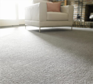 Carpet Installation in Columbus, OH | 50 Floor