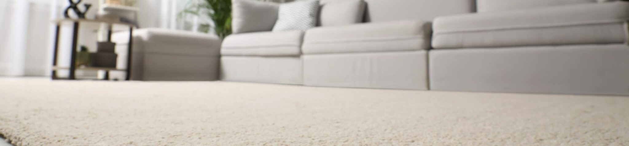 Plush Carpet - Soft Carpet | 50 Floor