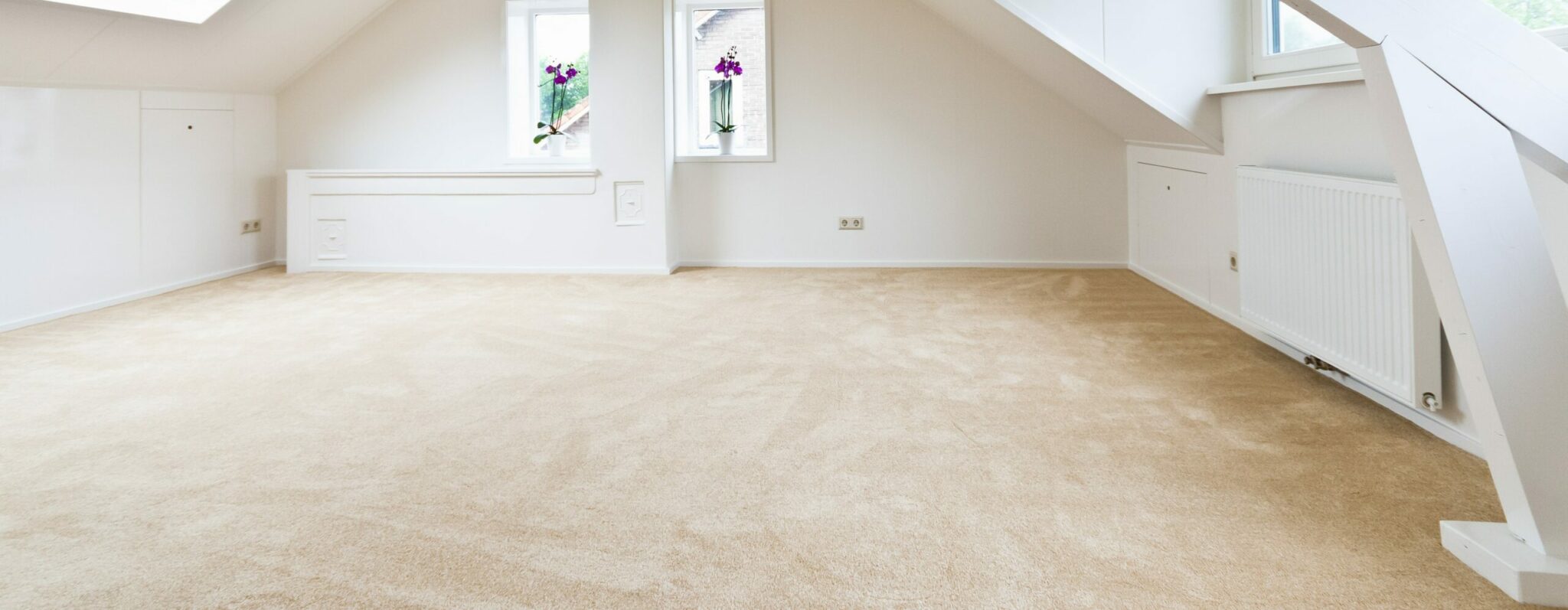 Carpet Flooring & Carpet Installation | 50 Floor