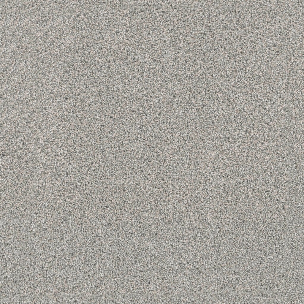 Majestic Touch : Abroad - Premium Carpet Products Flooring (Gray)