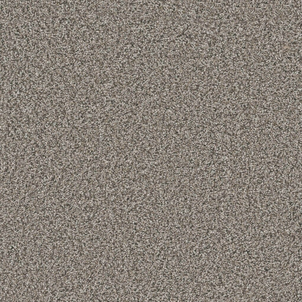 Majestic Touch : Abroad - Premium Carpet Products Flooring (Gray)