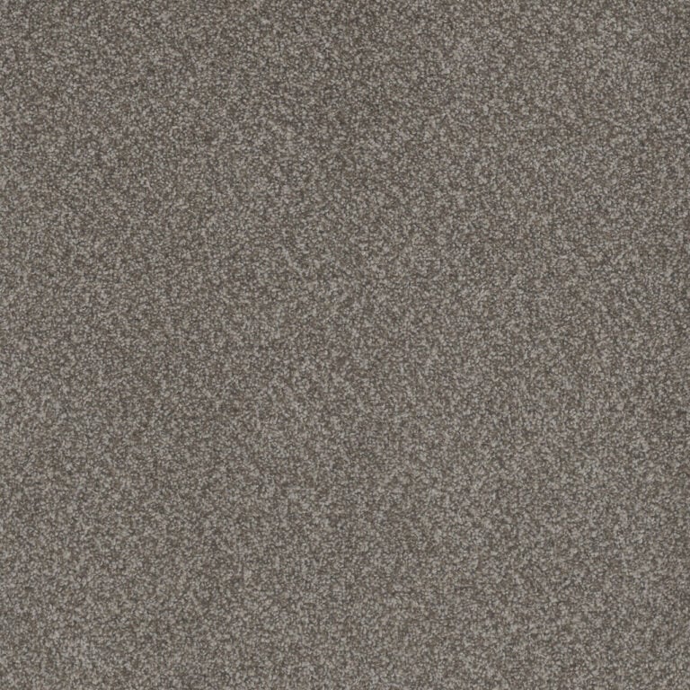Utopia : Angel Wing - Premium Carpet Products Flooring (Beige)